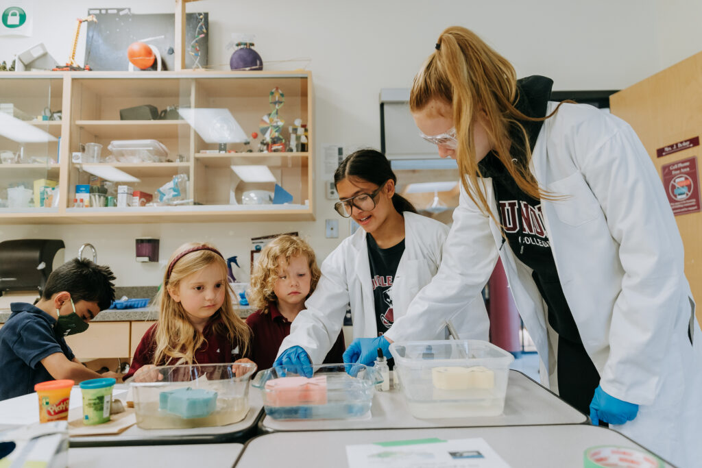 Rundle Academy, College & Studio: Elevate Your School Journey